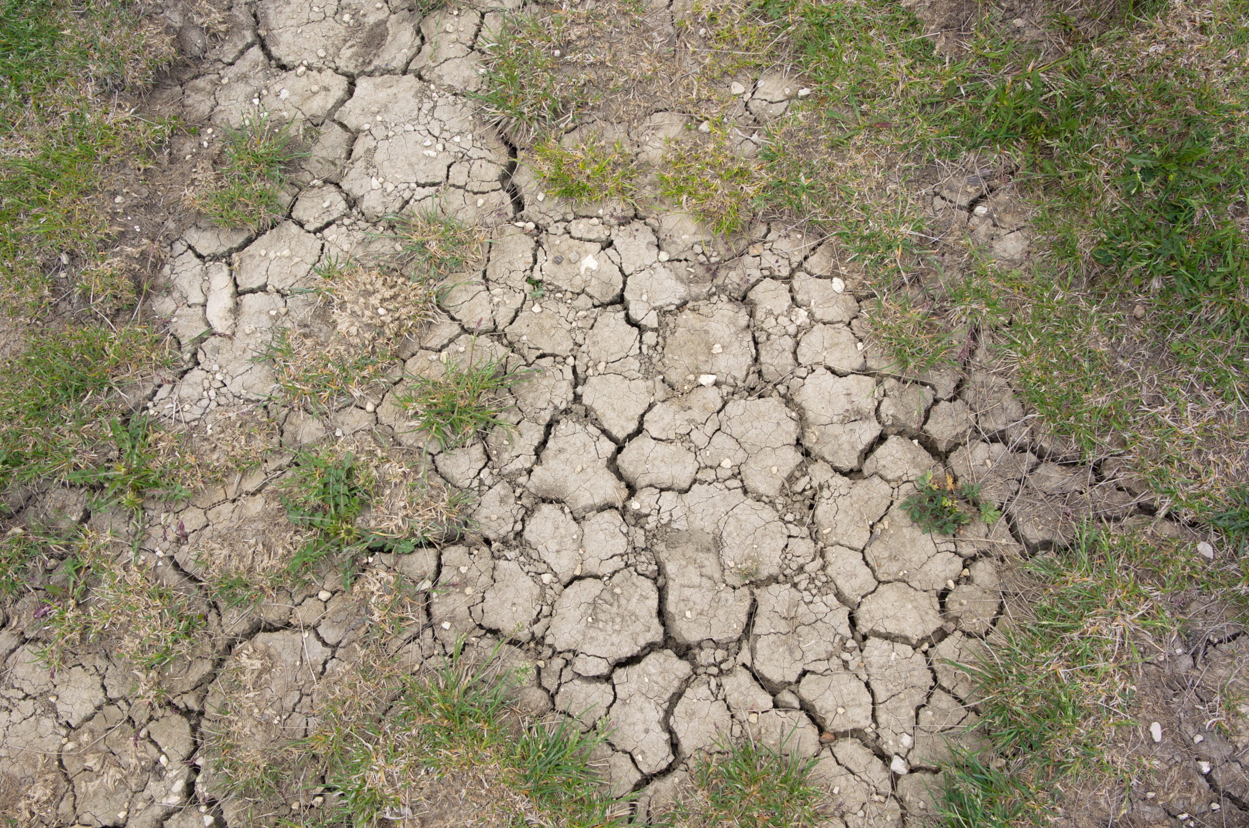 What is Expansive Soil and How Does it Affect Your Home? | TerraFirma