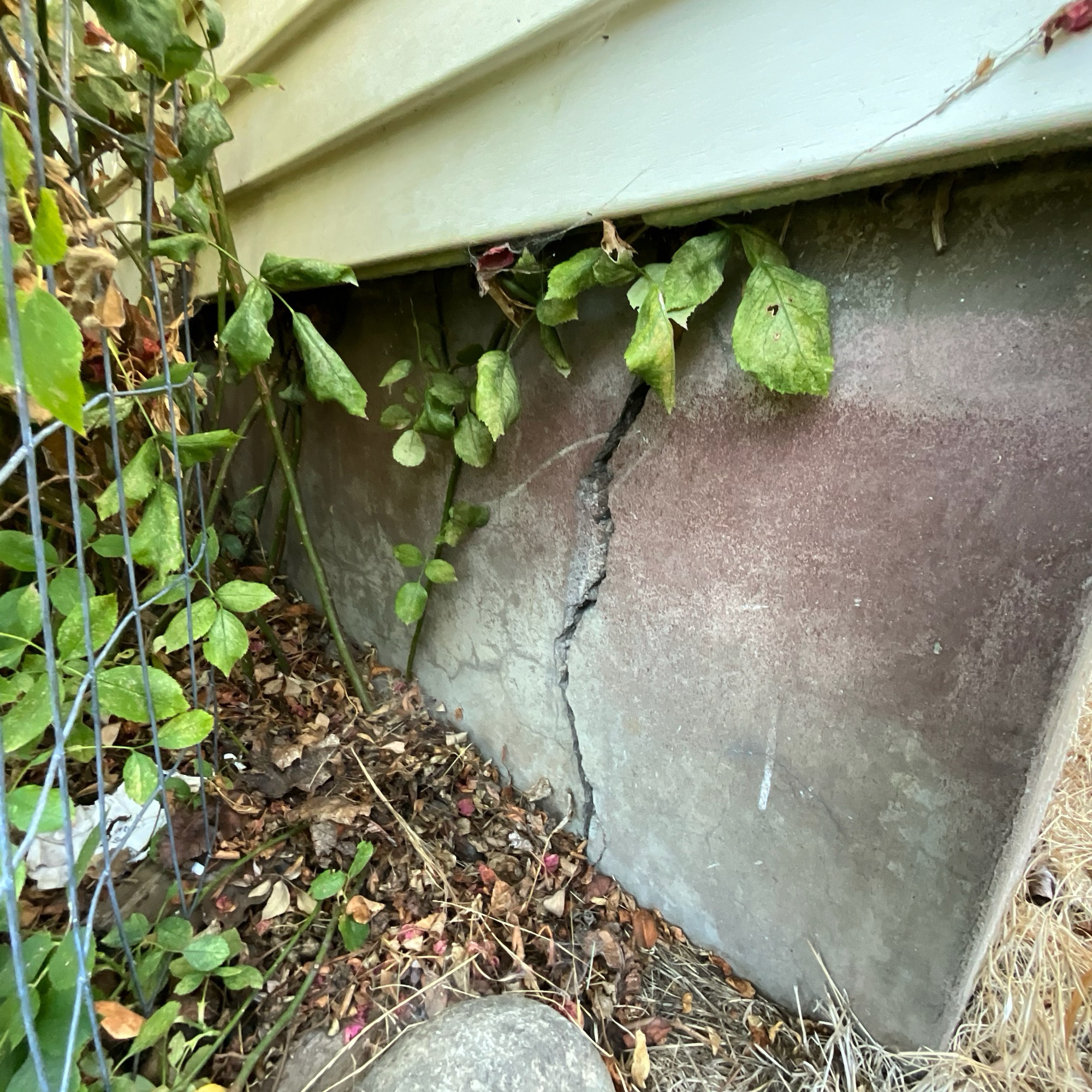 3 Common Signs of a Foundation Problem | TerraFirma