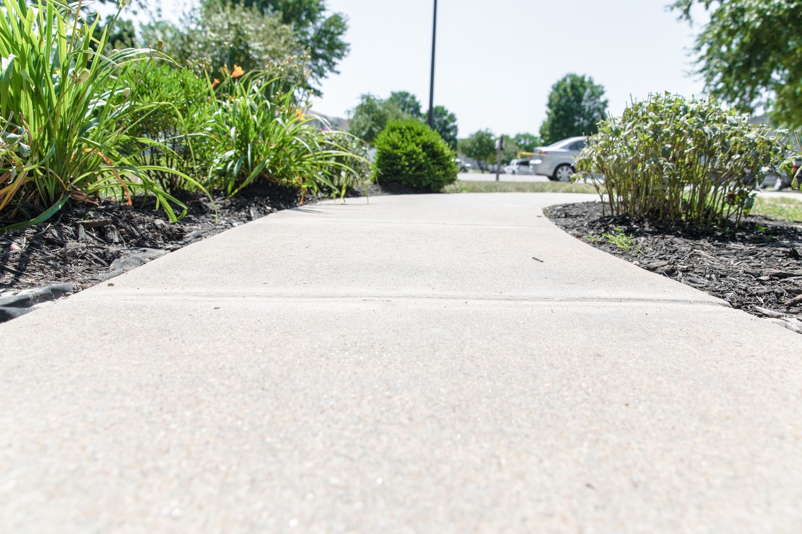 Sidewalk Repaired in 1 Day with Leveling | Roseburg, OR | TerraFirma