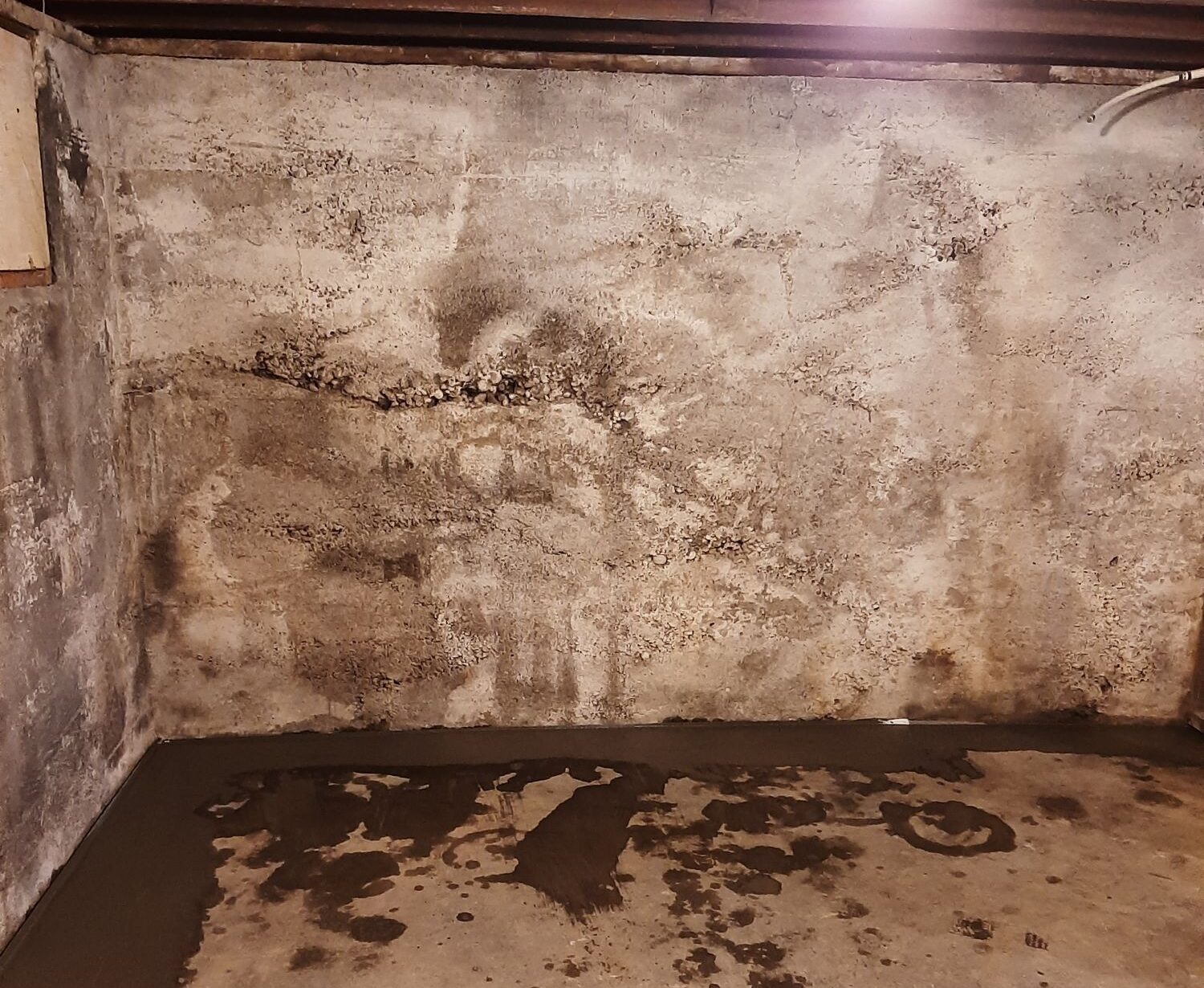 5 Stains You Should Look Out For on Your Basement Walls | TerraFirma