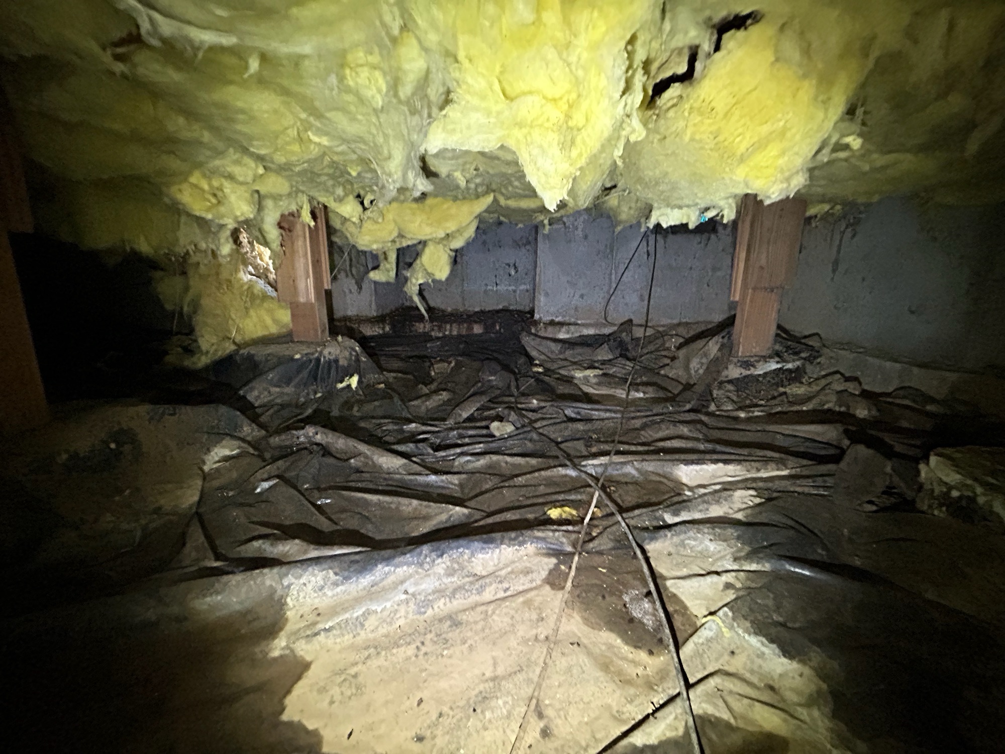 How Your Crawl Space Affects Your Heating Bill | TerraFirma