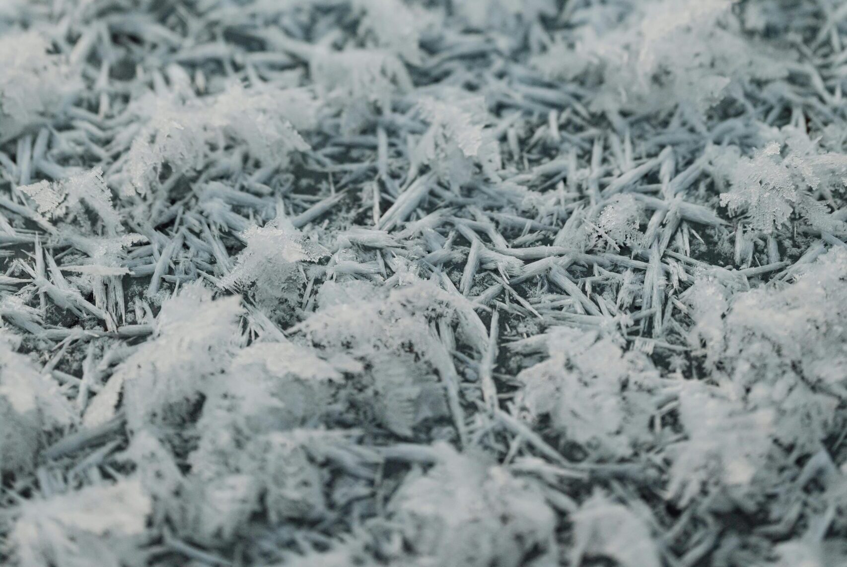 How The Frost Line Affects Your Home's Foundation | TerraFirma