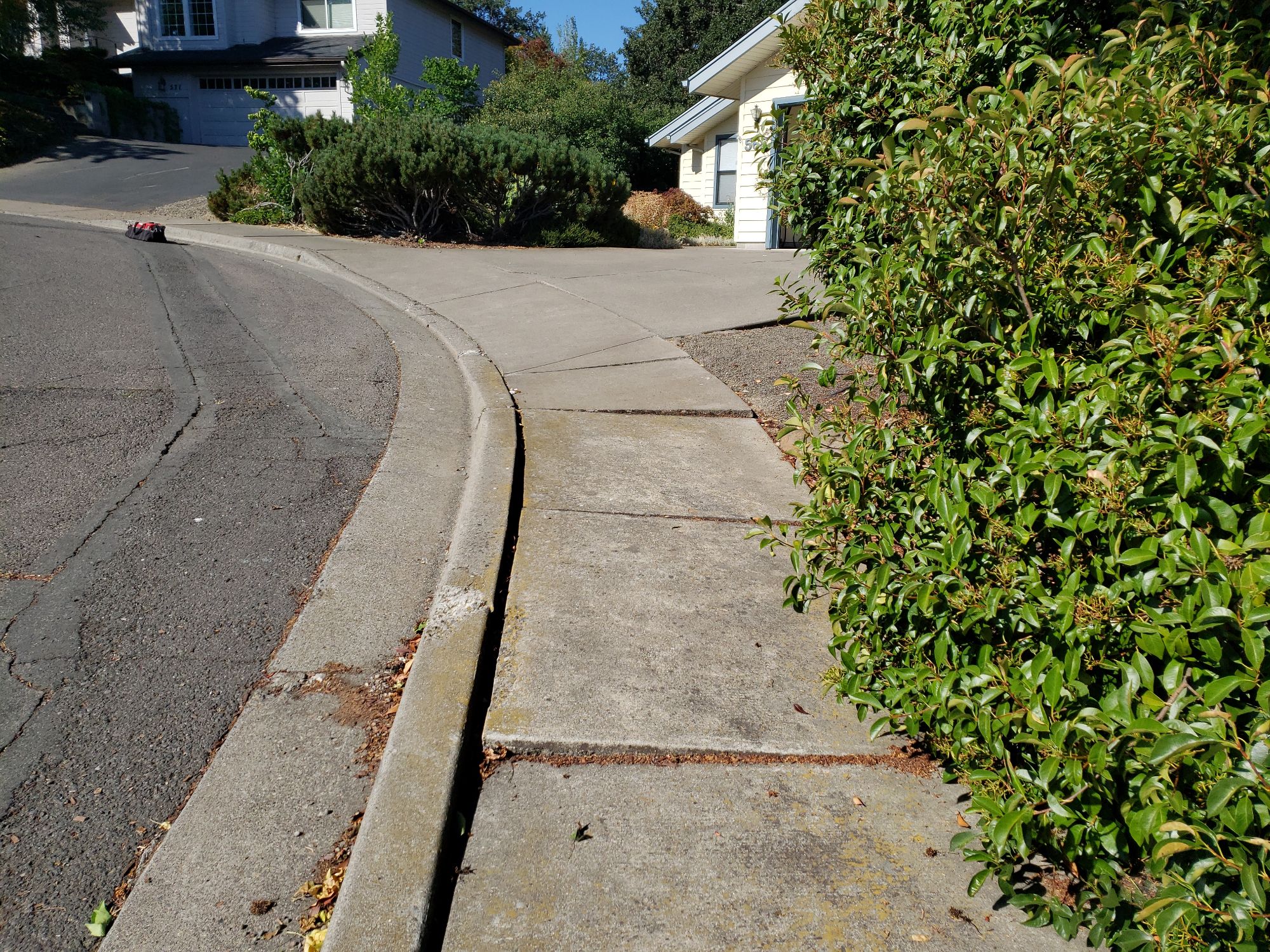 Who Repairs a Sidewalk - the City or the Homeowner? | TerraFirma