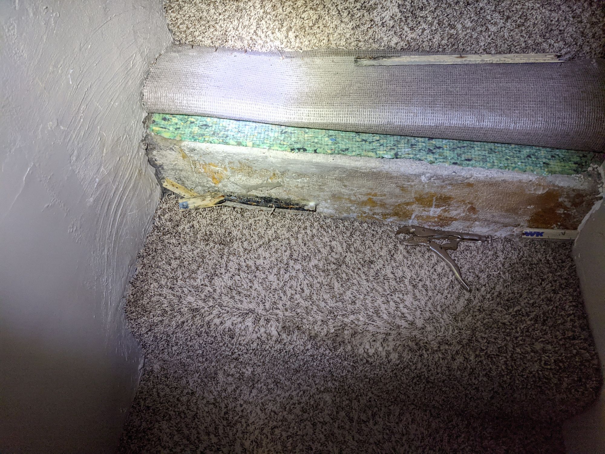 Wet Basement Carpet: Causes and Effective Solutions