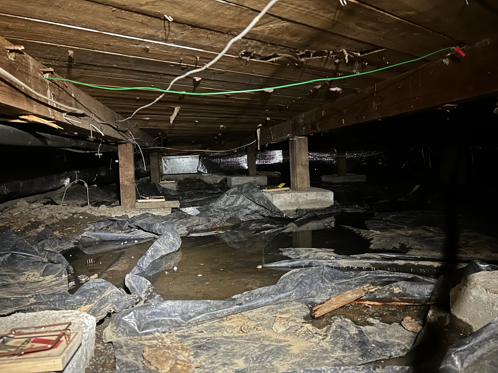 Crawl Space Encapsulation in Lake Oswego, OR | TerraFirma